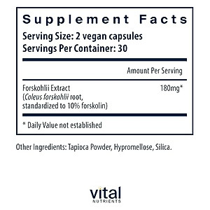 Vital Nutrients - Coleus Forskohlii 10% - Cardiovascular Support - Muscle Relaxation - 60 Vegetarian Capsules per Bottle - 90 mg