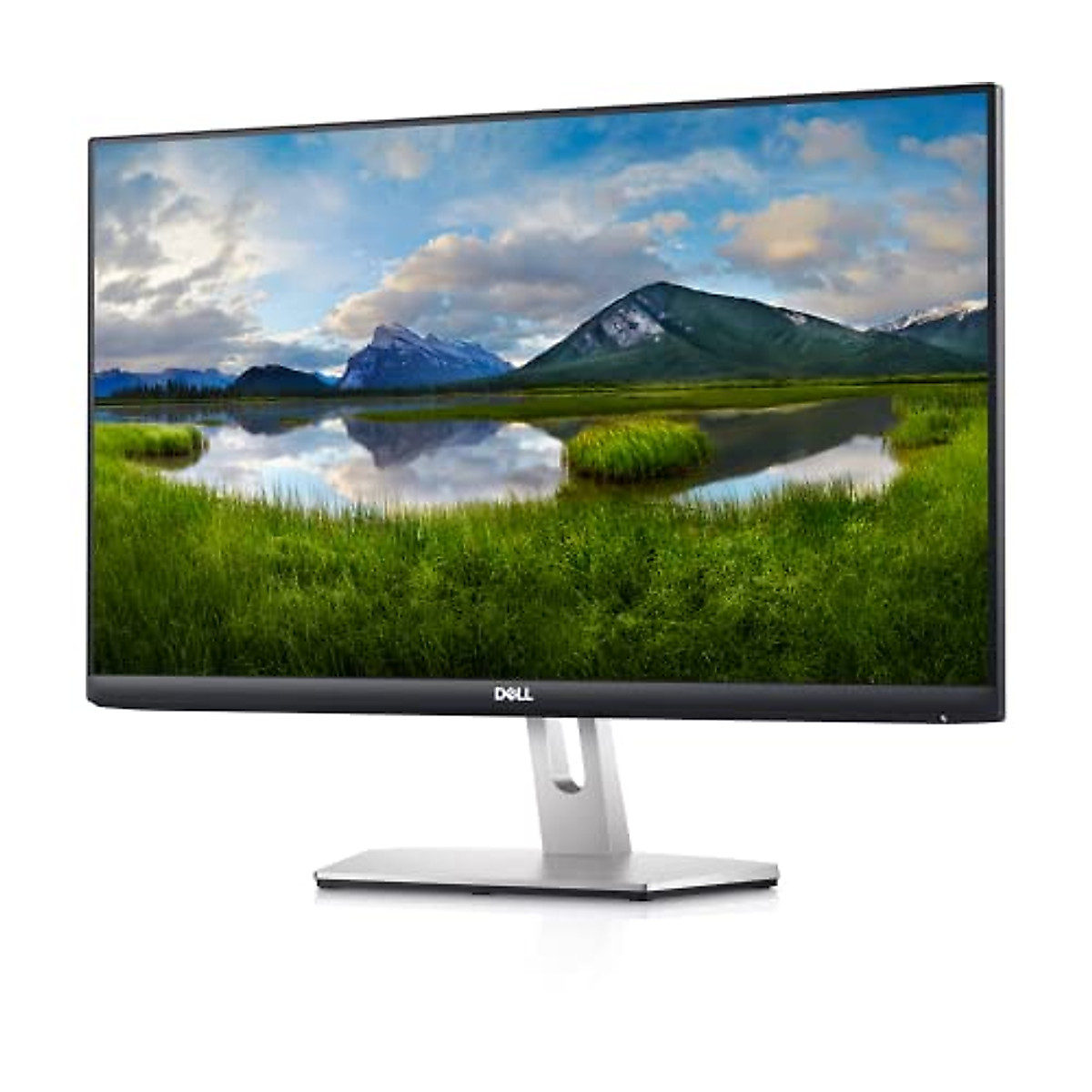 Dell S2421HN 24 Inch Full HD 1080p (1920 x 1080) 75Hz IPS Ultra-Thin Bezel Monitor 2 x HDMI Ports, Audio Line Out, Adaptive AMD FreeSync, Silver