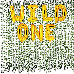 16 inch Happy Birthday Balloons, Birthday Banner, Birthday Decorations, and 12 Pieces Artificial Ivy Garland (Wild One)