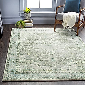 Mark&Day Area Rugs, 8x10 Heiereind Traditional Sage Area Rug Green Gray Blue Carpet for Living Room, Bedroom or Kitchen (7'6" x 9'6")