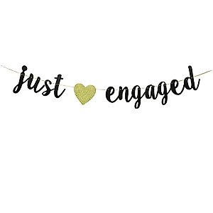 Coolpala Just Engaged Banner,Black Giltter Decorations for Bridal Shower Party Sign,Bachelorette/Wedding Engagement Party Bunting Supplies.