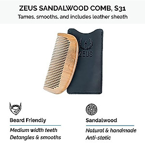 ZEUS Premium Beard Care Kit – Complete Grooming Set, Beard Wash Combo, Beard Oil & Balm, Beard Brush & Comb (Verbena Lime)