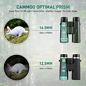 Golf Hunting Rangefinder + 12x42 HD Binoculars Green