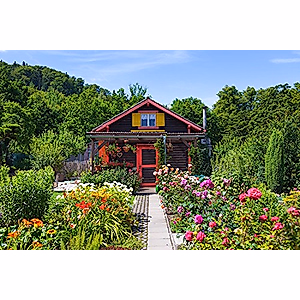 Easy Garden Roll Out Flowers Olde English Garden kit - OE1000 10-Foot by 10-Inch - by Garden Innovations