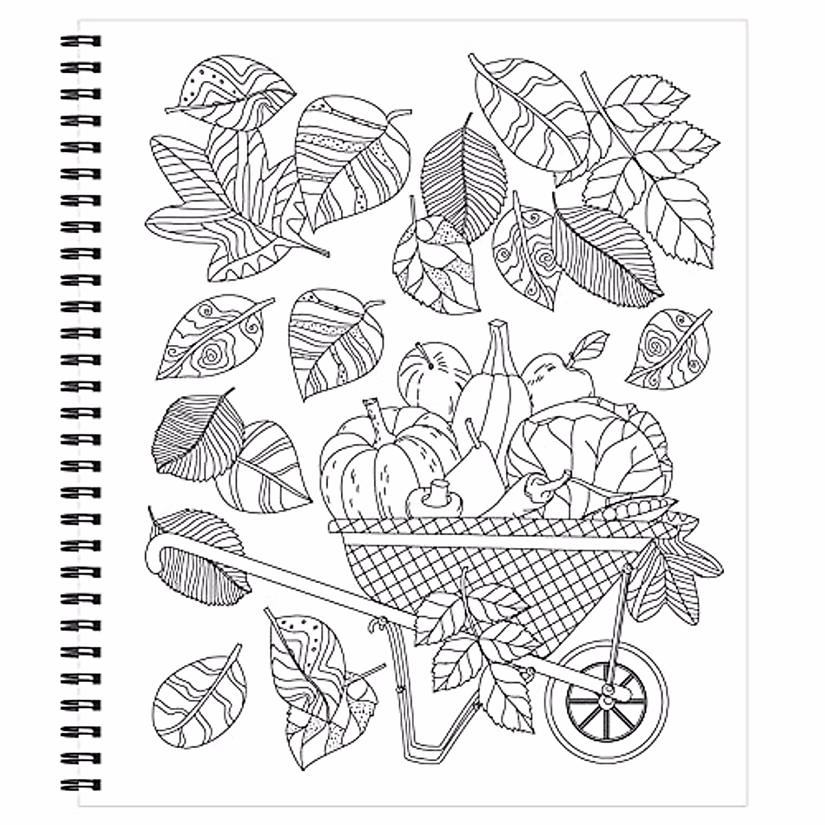 Large Print Easy Color & Frame - Garden (Stress Free Coloring Book)