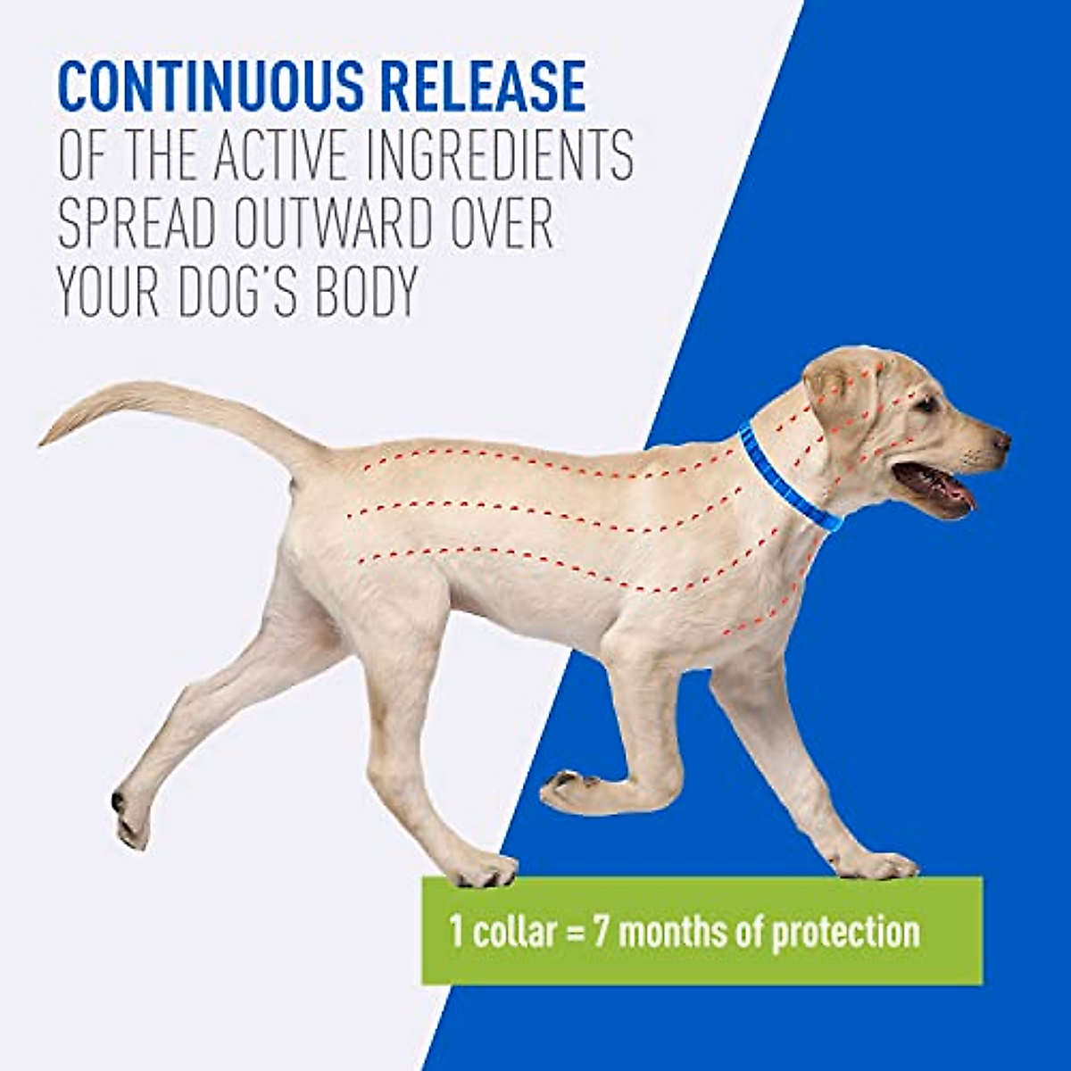 Adams Plus Flea & Tick Collar for Dogs, 7-Month Protection, Adjustable Collar Fits Large Dogs & Puppies, Kills & Repels Fleas, Flea Eggs, Flea Larvae and Ticks, Kills Tick Larvae and Tick Nymphs, Blue