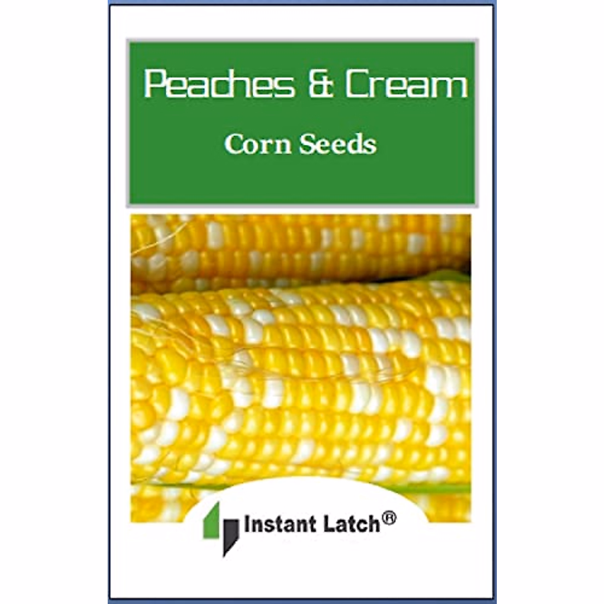 25 Peaches & Cream Corn Seeds | Hybrid | Instant Latch Garden Seeds