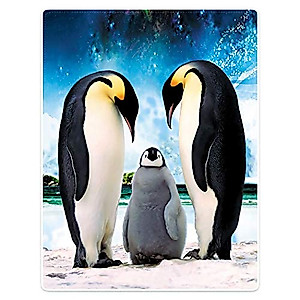 HommomH 60"x80" Blanket Soft Fluffy Flannel Fleece Throw Blue Sky Penguin