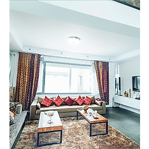 Ciata FC16T9/CW Fluorescent T9 Circline Ceiling Light Bulb, 40 Watt, 4100K - 2 Pack