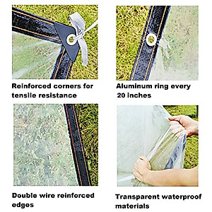 Abrotain Clear Greenhouse Plastic Sheeting Cover Film 3'3"X10' Garden Plant Covers Polyethylene Film Hoop House Green House Cover for Gardening, Farming, Agricultural