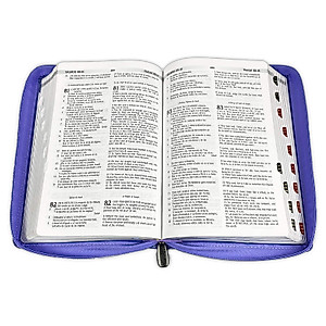 Biblia Bilingue Reina Valera 1960 King James Version KJV Imitacion Piel Morado Con Indice Zipper