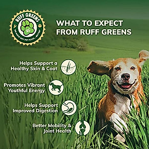 Ruff Greens - Vitamin & Mineral Supplement, Nutritional Support for Dogs, Probiotics for Dogs, Dog Vitamin Powder, Nutritionally Pure Superfood for Pets, 7.4 Ounce