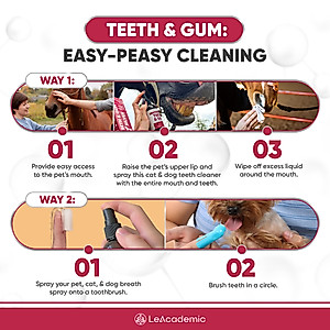 Dog Mouth Spray | Dog Dental Spray | Dental Spray for Dogs Teeth | Cat Dental Care | Colloidal Silver for Dogs, Horses | Dog Teeth Cleaning | Cat Teeth Cleaning | Teeth and Gum Spray for Dogs | 4 Oz