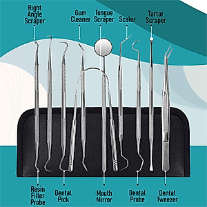 Dental Kit Tools, 10 Pack Stainless Steel Plaque Remover, Dental Tools to Remove Plaque and Tartar, Oral Care Kit with Plaque Cleaner, Tartar Pick, Tooth & Tongue Scraper for Dentist, Personal, Family