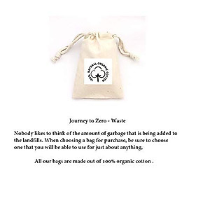 Set of 10 And so the adventure begins Bag Bridal Shower Party Favor Bag Wedding favor bag wedding bachelorette party gift treat bags engagement honeymoon graduation party gift bags