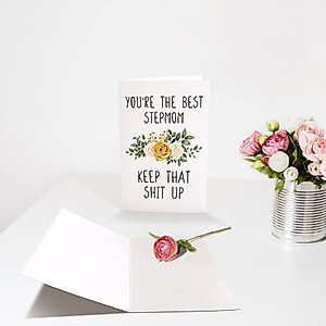 Funny Stepmom Greeting Card Gift, Mother's Day Card for Stepmom, Stepmom Birthday Card, Best Stepmom Card