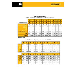 Carhartt Men's Rain Defender Loose Fit Heavyweight Quarter-Zip Sweatshirt, Heather Gray, Large