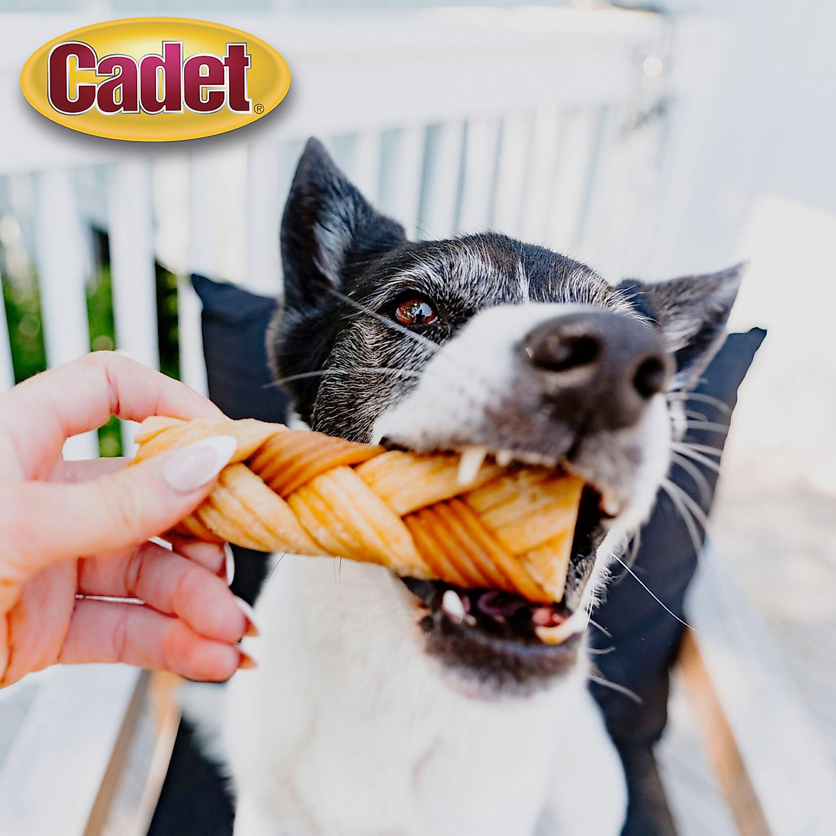 Cadet Chewalicious Chewy 'N Crunchy Braid Dog Treats, Limited Ingredient Rawhide-Free Dog Chews, Long-Lasting Made with Real Chicken, 7 Count (Pack of 1)