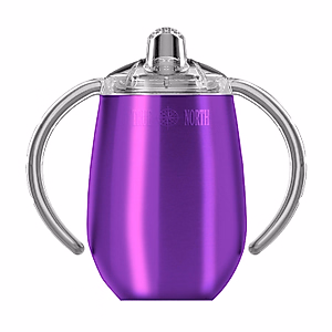 True North Stainless Steel Insulated Sippy Cup for Toddler + Baby with No-Spill BPA Free Triton Lid, Keeps Drinks Cold for 24 Hours, 9 oz, Jewel Purple