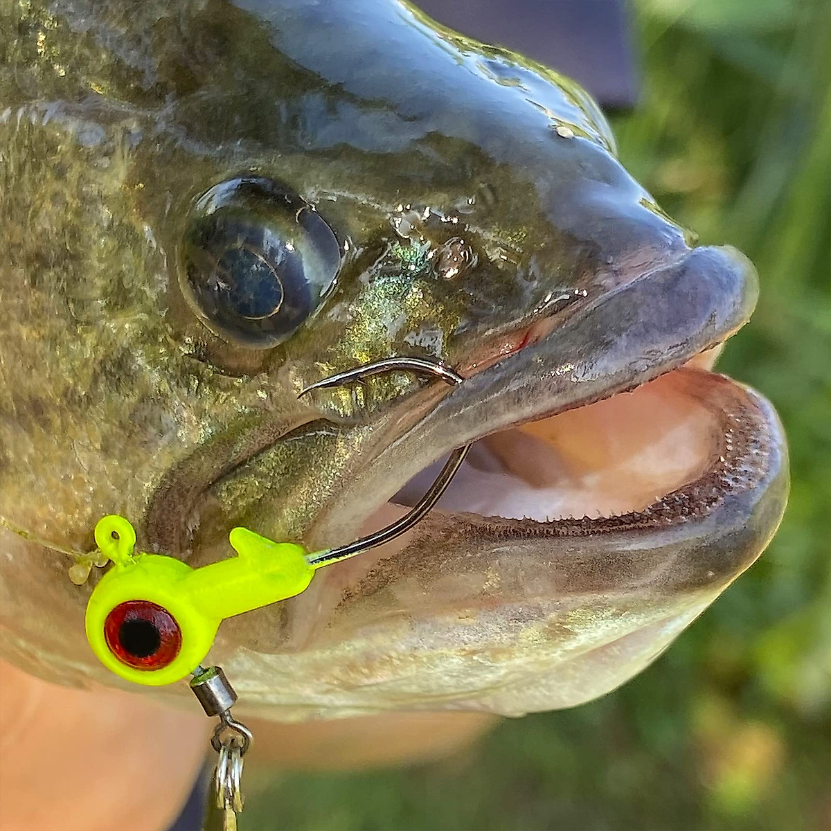 Soft Lure Jig Heads Kit - Swimbait Paddle Tail Soft Plastic Shad Lure Crappie Jigs Heads Fishing Jigs with Willow Blade for Freshwater Saltwater Bass Fishing - 1/10oz 25pcs Jig + 50pcs Soft Baits Set