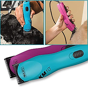 WAHL Professional Animal KM10 2-Speed Brushless Motor Pet, Dog, and Horse Clipper Kit - Turquoise