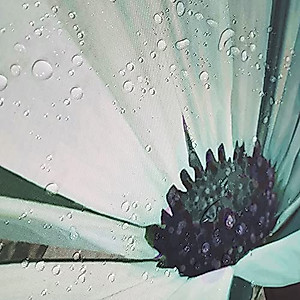 VeiVian Rustic Farmhouse Shower Curtain, Farm Teal Daisy Floral Flowers and Butterfly on Country Wooden Shower Curtain for Bathroom, Turquoise Blue Bathroom Shower Curtains with 12PCS Hooks, 70X70IN