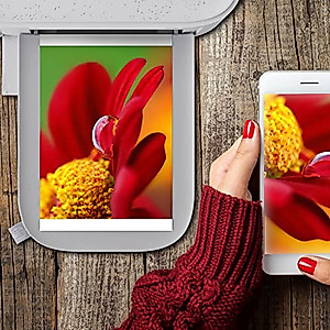 HP Sprocket Studio Plus 4 x 6” Photo Paper and Cartridges (Includes 216 Sheets and 4 Cartridges) – Compatible only with HP Sprocket Studio Plus Printer