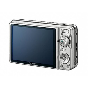 Sony Cyber-shot DSC-W290 12.1 MP Digital Camera with 5x Optical Zoom and Super Steady Shot Image Stabilization (Silver)