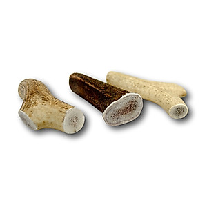 Top Dog Chews Premium Large Thick Elk Antler 5 Pack Dog Chew Treat Made in USA Brown