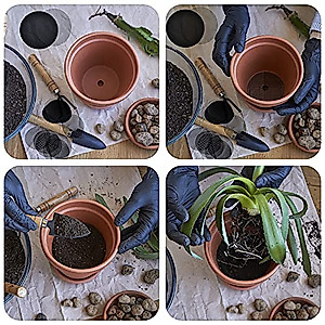 Grandisk 100 PCS Flower Pot Hole Mesh Pad 4 Inch Round Drainage Hole Screens Garden Plant Bonsai Pot Bottom Grid Mat Plastic Mesh Screen Breathable Gasket for Prevent Soil Loss (4 x 4 inch), Black