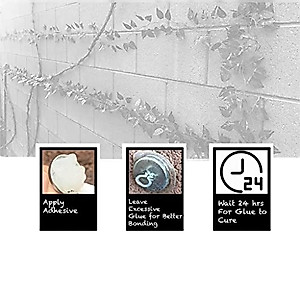 50-Piece Anchors for Trellis, Vine, Wall Climbing Plants, Lighting Strip (50)