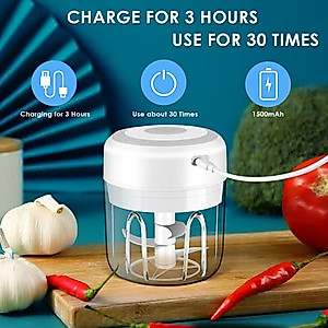 Electric Mini Garlic Chopper, Portable Food Processor, Vegetable Chopper Onion Mincer, Cordless Meat Grinder with USB Charging for Vegetable, Pepper, Onion, Baby Food, Seasoning, Nuts (BPA-Free)
