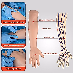 SimCoach Intravenous Practice Arm, Phlebotomy Practice Kit, IV Venipuncture Training Arm for Injection and Infusion, Medical EducationTraining Model