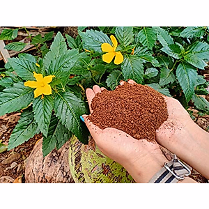 Fjiro Coco | Premium 100% Organic Coconut Coir with Low EC & pH Potting Substrate Soil for Plants | Block 11lbs