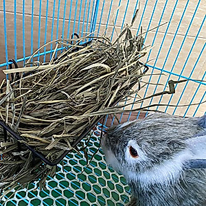 Rabbit Hay Feeder Rack Guinea Pig Hay Dispenser for Cage Hanging Metal Feeder Small Animals Hay Holder Manger for Rabbits Guinea Pigs Chinchillas  Ferrets (9.05 x 3.93 x 2.95 in)