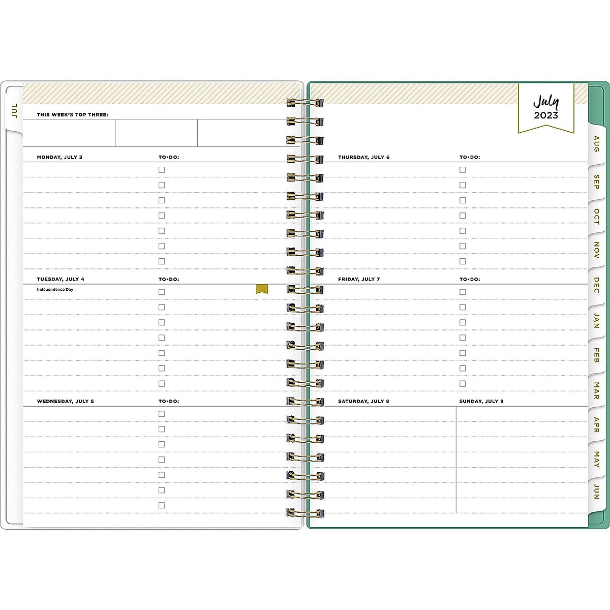 Blue Sky Day Designer for 2023-2024 Academic Year Weekly and Monthly Planner, 5' x 8', Frosted Flexible Cover, Wirebound, Palms (137892-A24)