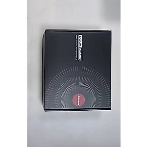 Nobsound G2 PRO Hi-Fi 300W Subwoofer Power Amplifier Mono Channel Class D SUB Audio Amp