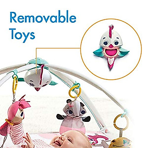 Gymini Deluxe Activity Gym Play Mat, Tiny Princess Tales