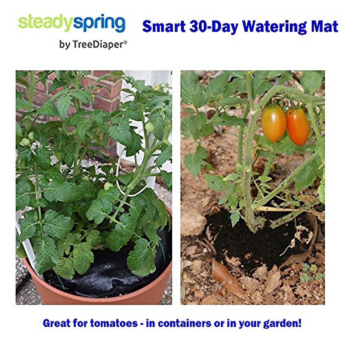 SteadySpring by TreeDiaper Smart 30-Day Watering Mat for Tomato Plants, Peppers, Veggies, Perennials, Annuals - Self-Fills with Rain (1)