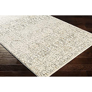 Artistic Weavers Aune Updated Traditional Area Rug 7'10" x 10'2",Grey