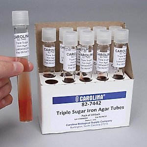 Triple Sugar Iron Agar, Slant, Prepared Media Tubes, Pack Of 10