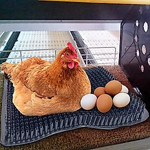 Hamiledyi Chicken Nesting Box Pads, 6PCS Hen Nest Mats Washable, Chicken Nesting Box Plastic Liners, Reusable Egg Laying Mats for Chicken Coop Poultry Nest Boxes Ducks
