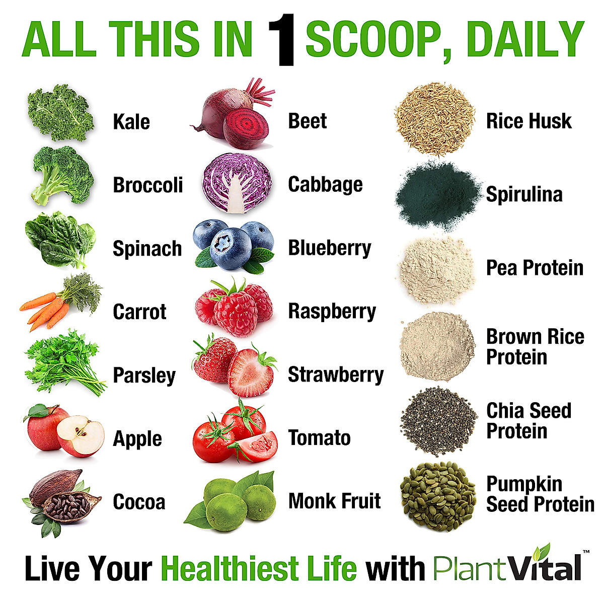 Plantvital Vegan Protein Powder Plant Based - Organic Protein Powder Chocolate - 24g/0g Sugar, 18 Superfoods, Probiotics, Raw Cocoa, Pea, Gluten-Free, Keto-Friendly, 16oz