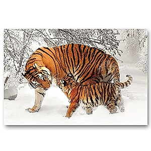 BABY ANIMALS postcard set of 20 postcards. Animal babies post card variety pack. Made in USA.