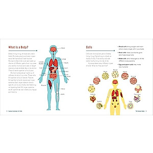 Human Anatomy for Kids: A Junior Scientist's Guide to How We Move, Breathe, and Grow