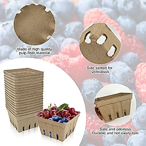 Rainmae 30 Pack Natural Pulp Fiber Berry Basket, Molded Berry Basket Produce Vented Container for Strawberry Blueberry Raspberry and Vegetable, Farmer Market, Grocery Stores, Backyard Party