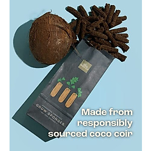 Hydroponics Sponge Grow Sponges [Pack of 50] – Organic, Sustainable, USA-Made AeroGarden Compatible Refill Sponges – 100% Coco Coir Seed Sponges – Garden Sponges with Seed Divots by Urban Leaf