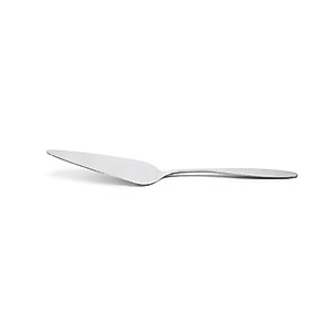 Fox Run Pie and Cake Cutter Server, 10-Inch Dessert Spatula, Stainless Steel