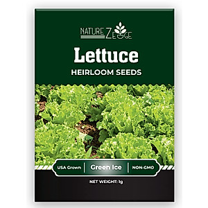 Lettuce Seeds for Planting, Red Romaine Lettuce, Bibb Butter Lettuce, Black Seeded Simpson, Green Ice Iceberg Lettuce, Non-GMO…