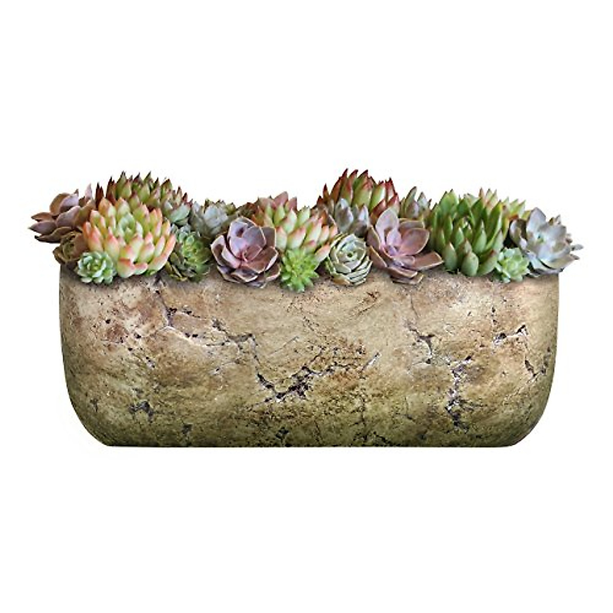 Classic Home and Garden 240001P-432 Dakota Trough, Earth Moss, Large